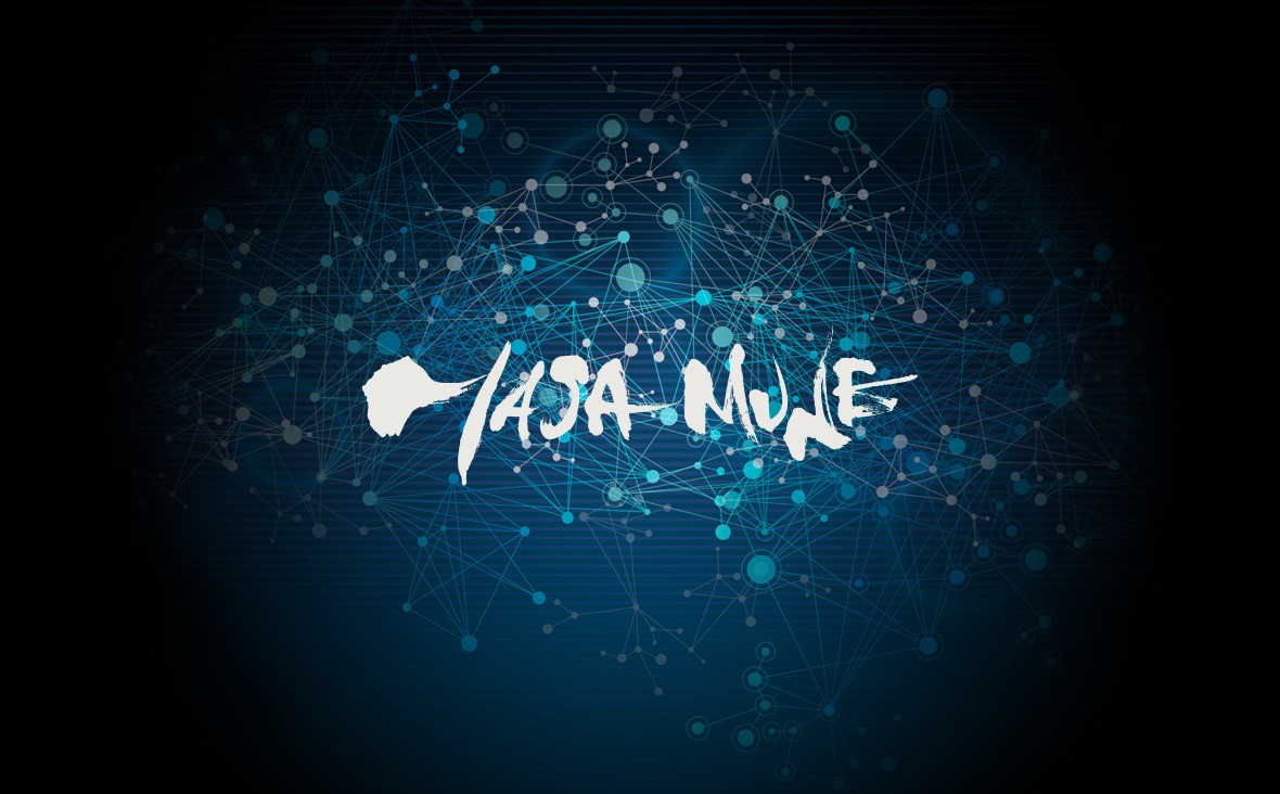 iPhone Security Best Practices: A Complete Guide - MASAMUNE Erasure